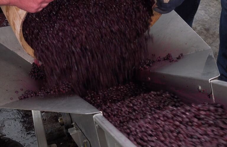 Bermet vino - Kako se pravi i koje su njegove karakteristike?