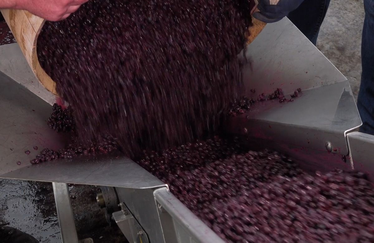 Bermet vino - Kako se pravi i koje su njegove karakteristike?