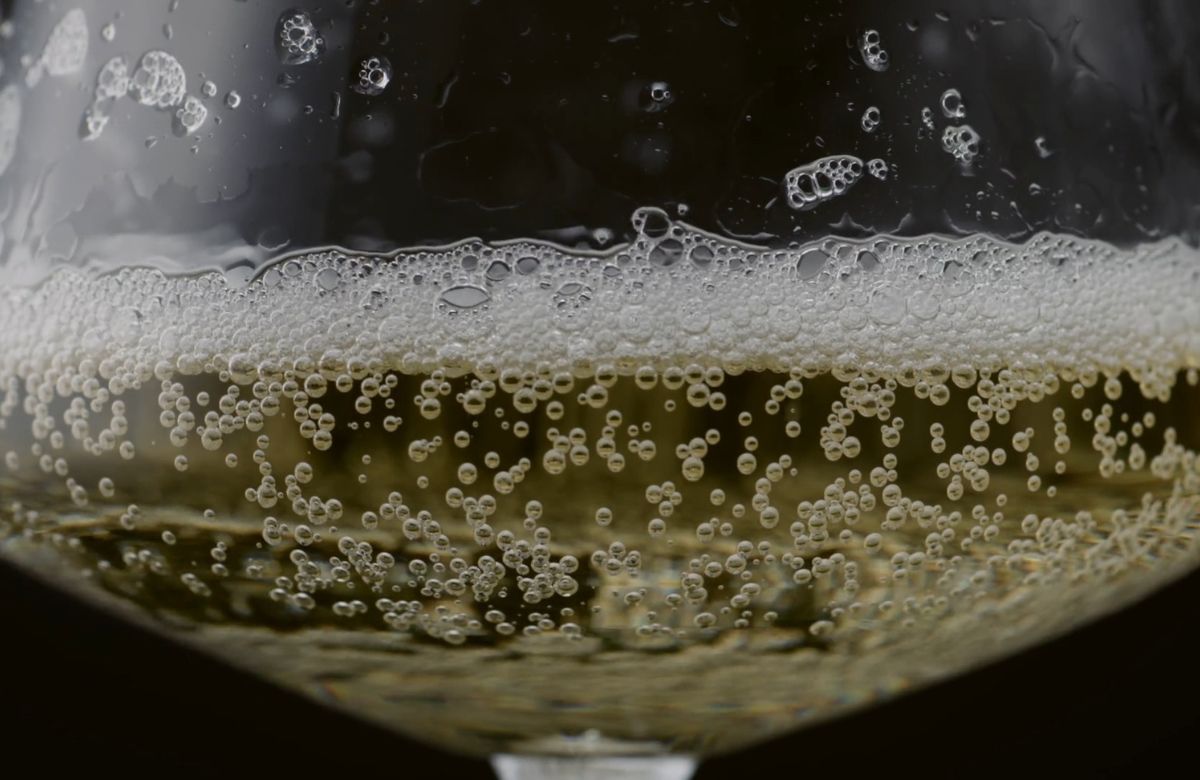 Vrste vina - Kratak vodič kroz najpopularnije vrste vina